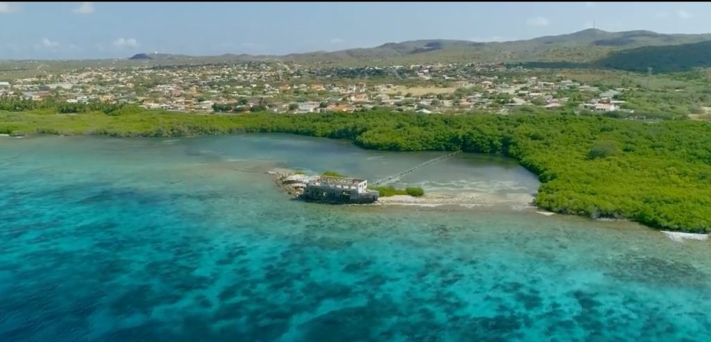 Aruba Birdlife Conservation ta presenta rapport pa salvaguardia Isla di ...