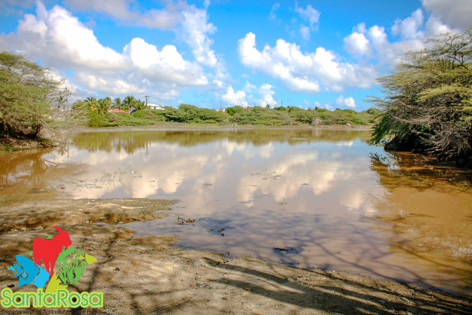 Santa Rosa: Damnan tin awa atrobe; Algun mas hopi cu otro – Bon Dia ...